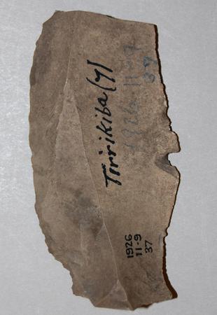 tool/implement; flake | British Museum