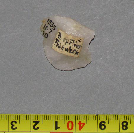 flake | British Museum