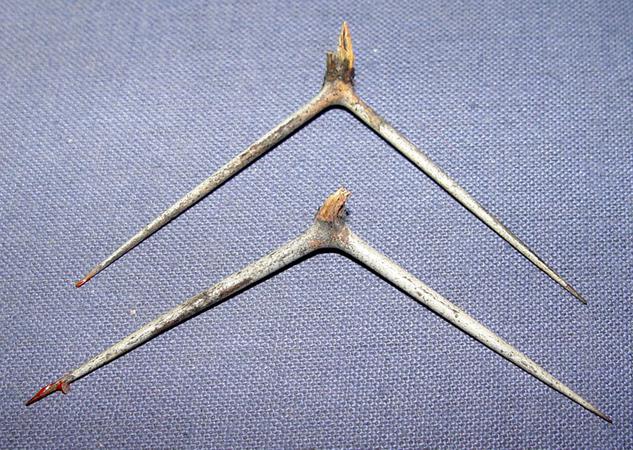 tool/implement | British Museum