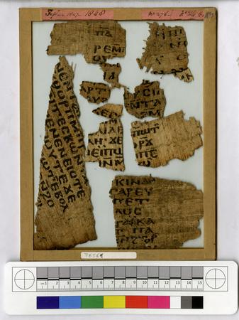 papyrus; codex | British Museum