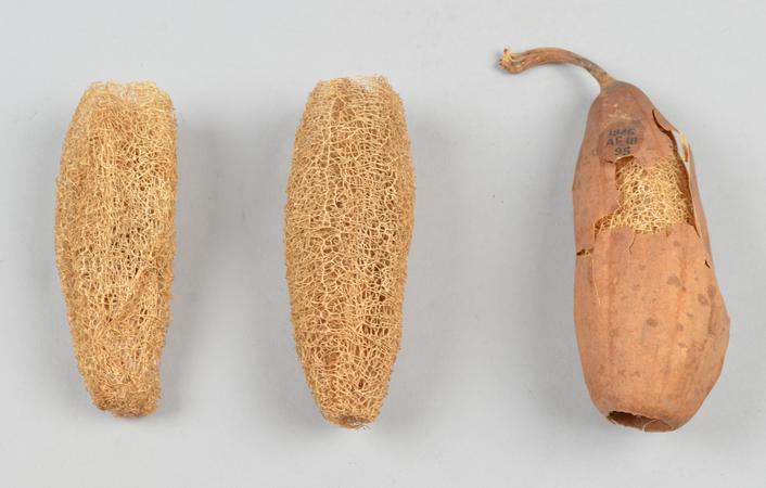 Potter S Tool Implement Sample British Museum