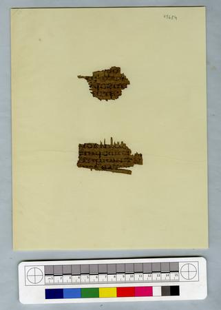 papyrus; codex | British Museum