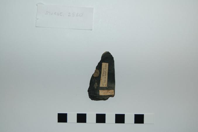 flake | British Museum